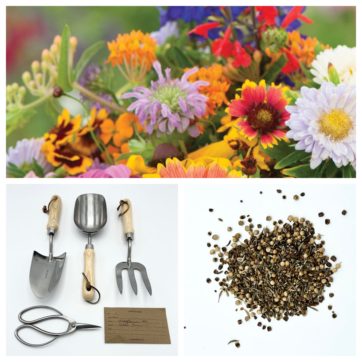 Wild for Wildflowers - Our Grow Kit Gift Box with Wildflowers – Green ...